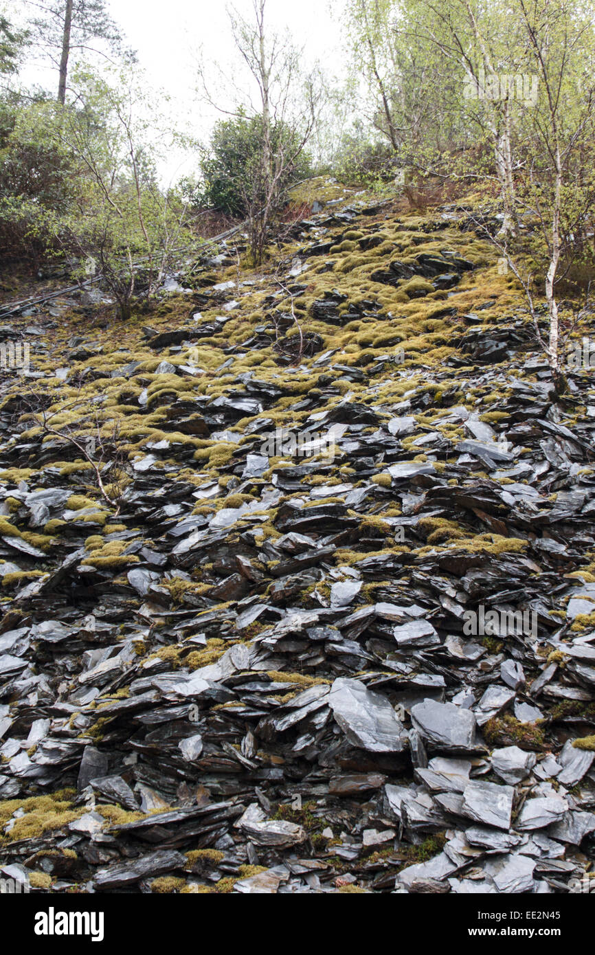 Quarry debris slate stone hi-res stock photography and images - Alamy
