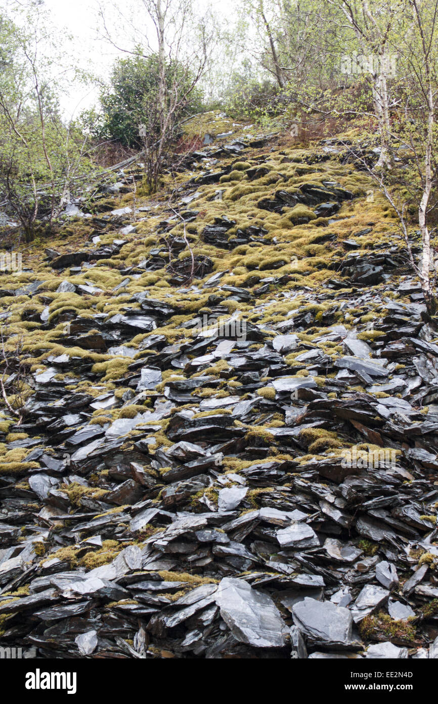 Quarry debris slate stone hi-res stock photography and images - Alamy