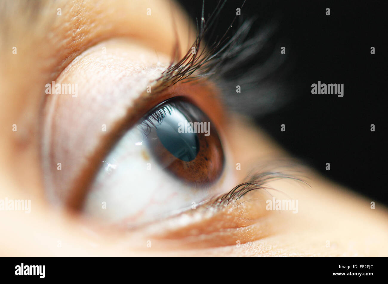 Eye of a girl Stock Photo - Alamy