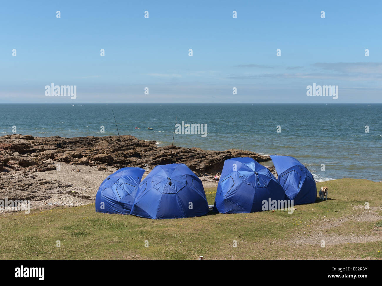 Windy seaside hi-res stock photography and images - Alamy