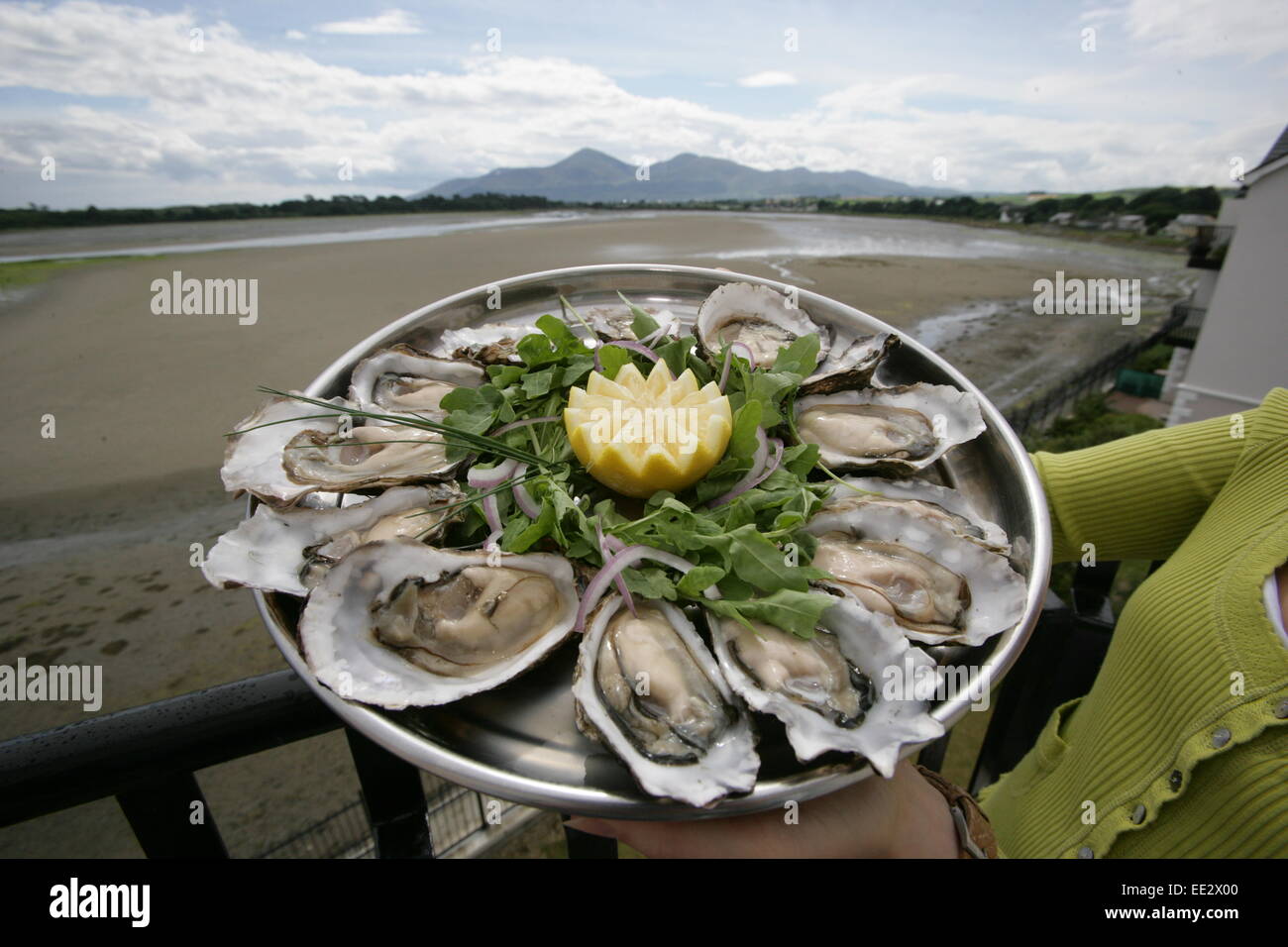 Mourne seafood bar belfast hi-res stock photography and images - Alamy