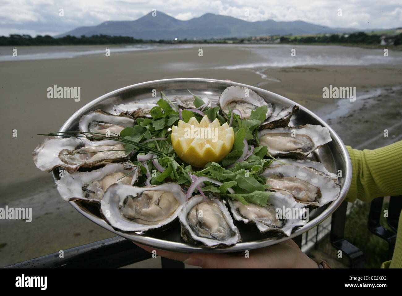 Mourne seafood bar belfast hi-res stock photography and images - Alamy