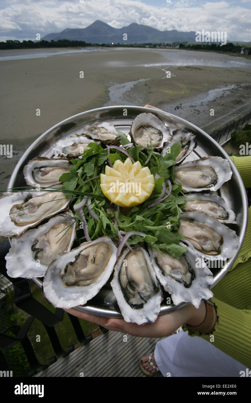 Mourne seafood bar belfast hi-res stock photography and images - Alamy