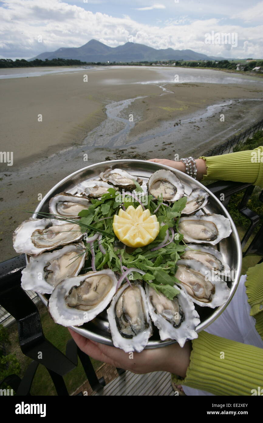 Mourne seafood dundrum hi-res stock photography and images - Alamy