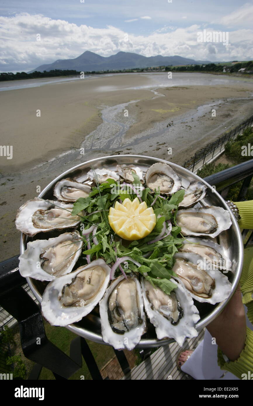 Mourne seafood bar belfast hi-res stock photography and images - Alamy