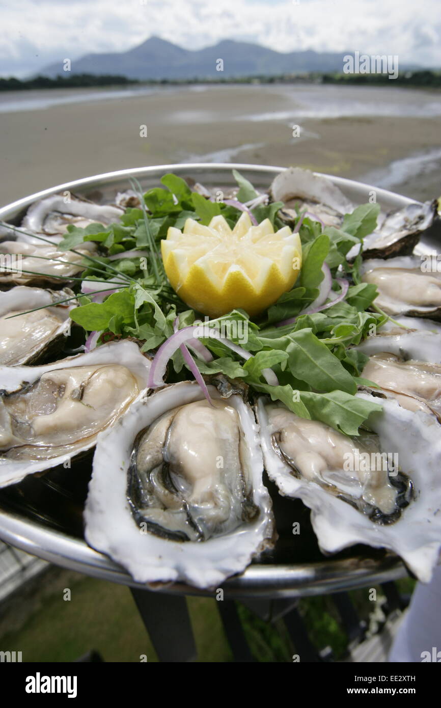 Mourne seafood bar belfast hi-res stock photography and images - Alamy