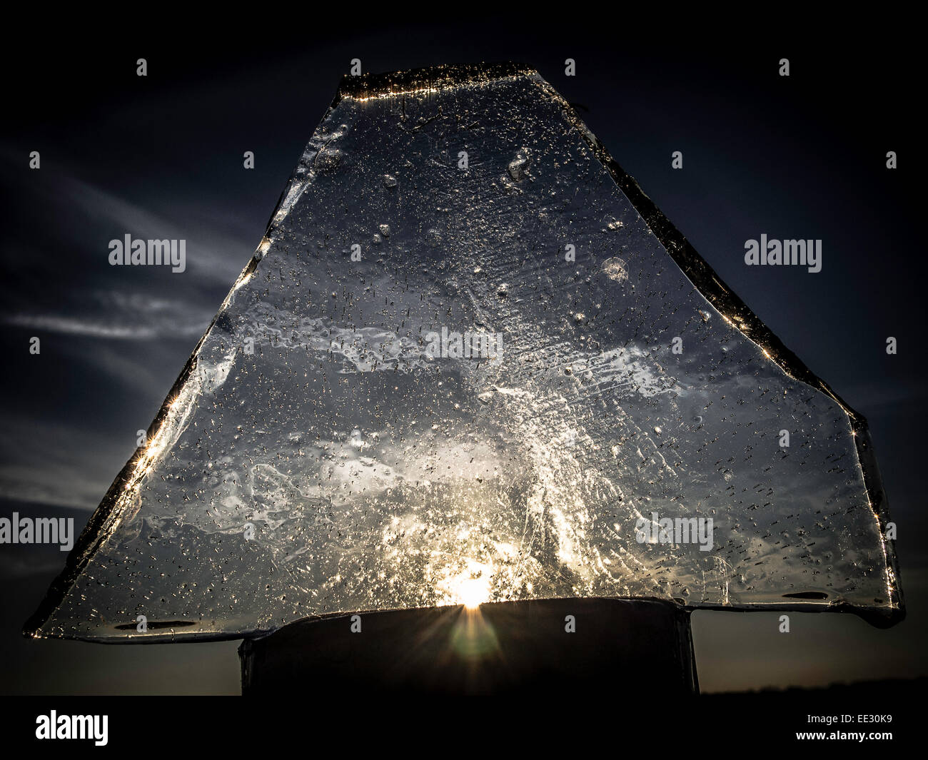 A shard of frozen puddle ice standing on a fence post with the low ...