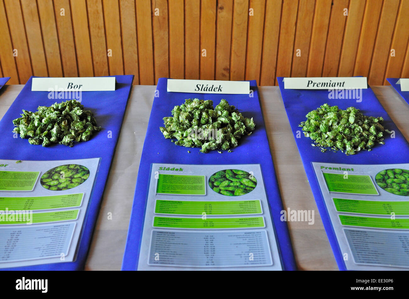 Hop plant hop varieties hi-res stock photography and images - Alamy