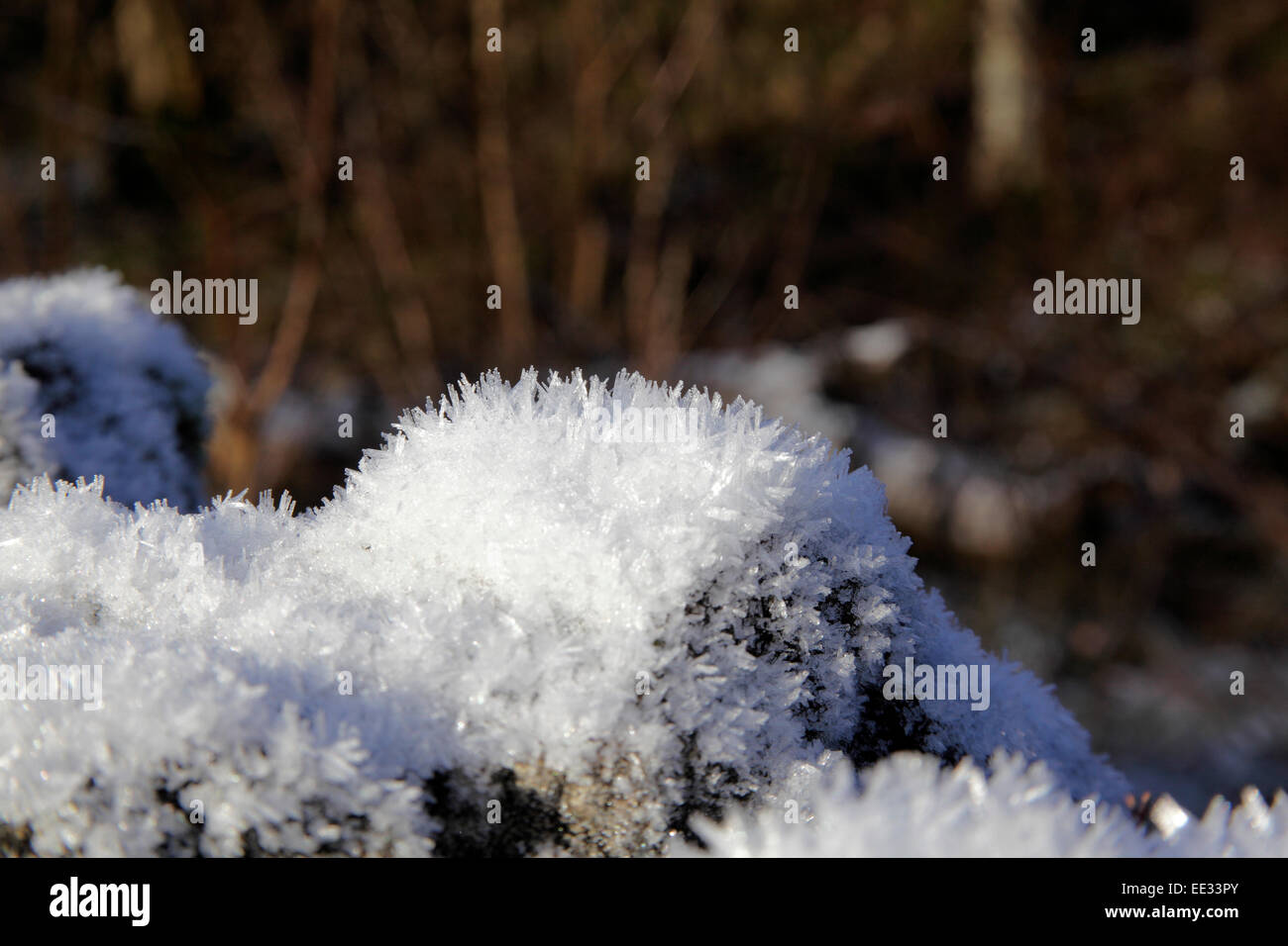 Frost crystals on a dry stone wall Stock Photo - Alamy