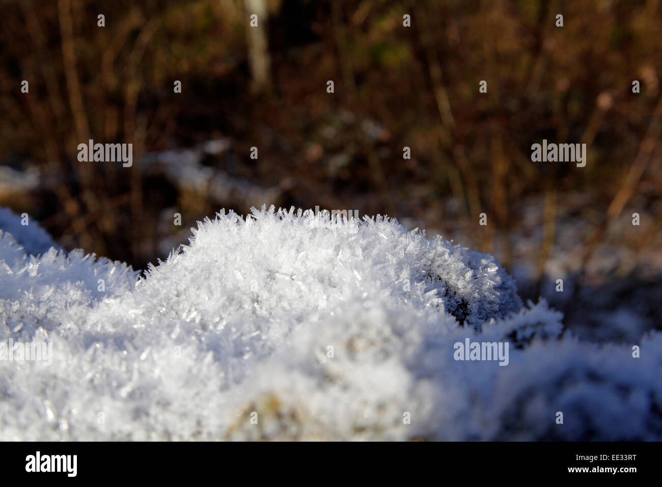 Frost crystals on a dry stone wall Stock Photo - Alamy
