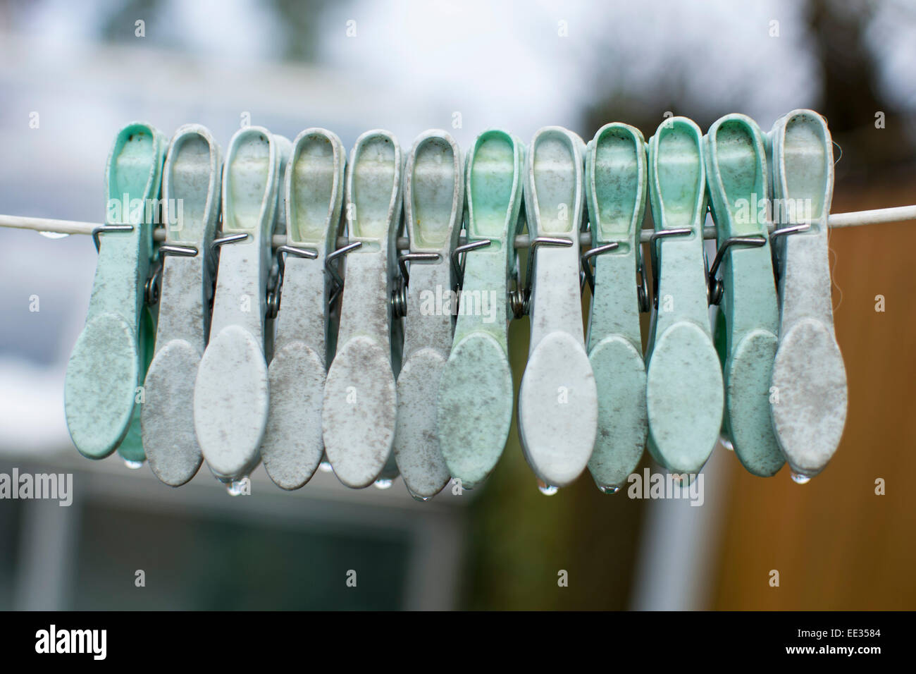 12 pegs hi-res stock photography and images - Alamy