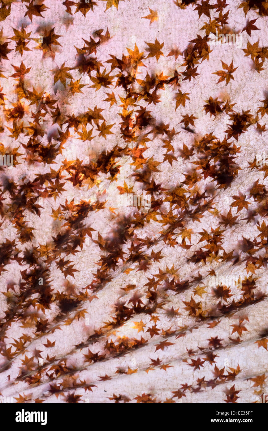 Japanese canopy hi-res stock photography and images - Alamy