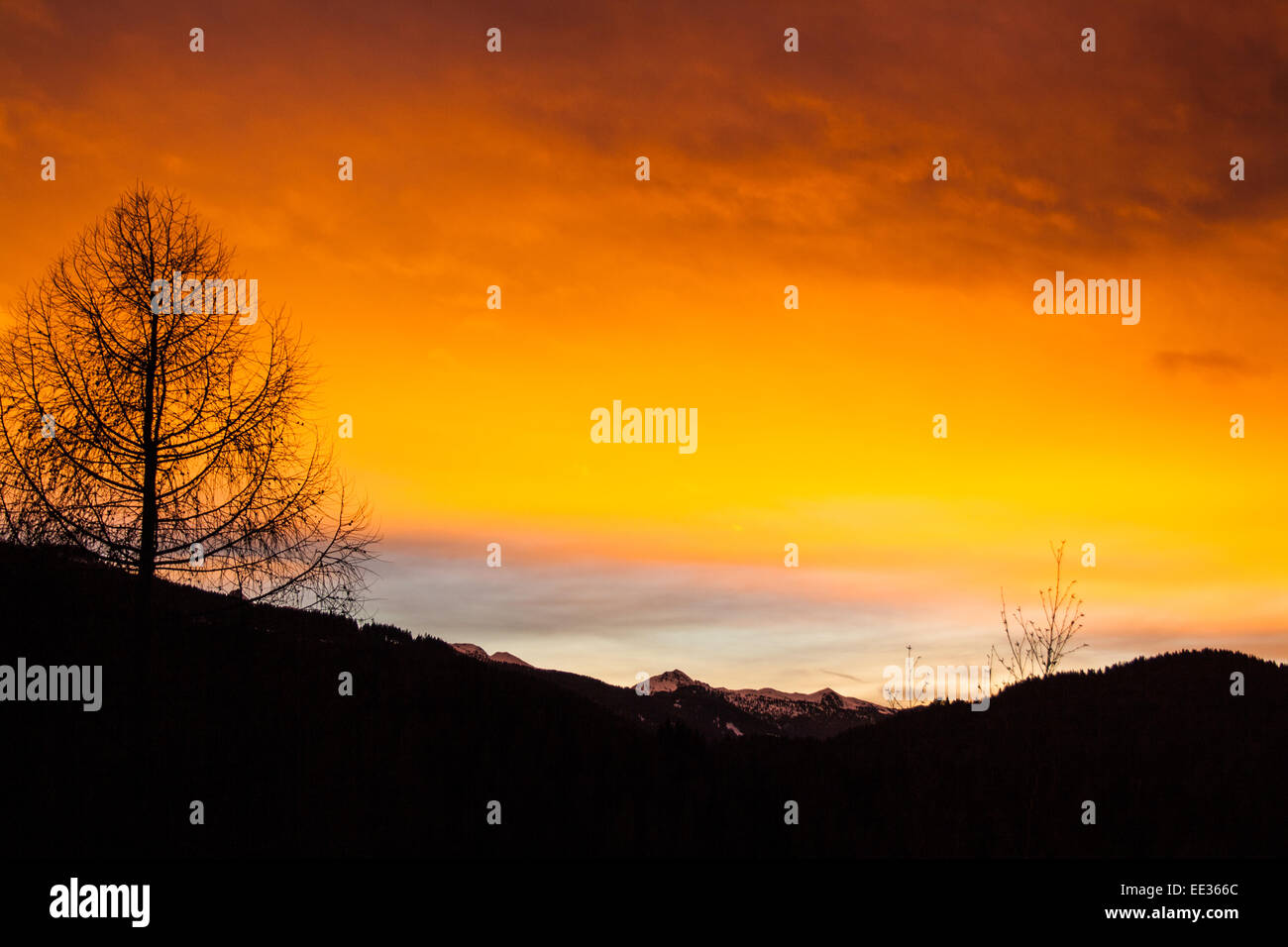 The sky become a red show Stock Photo - Alamy
