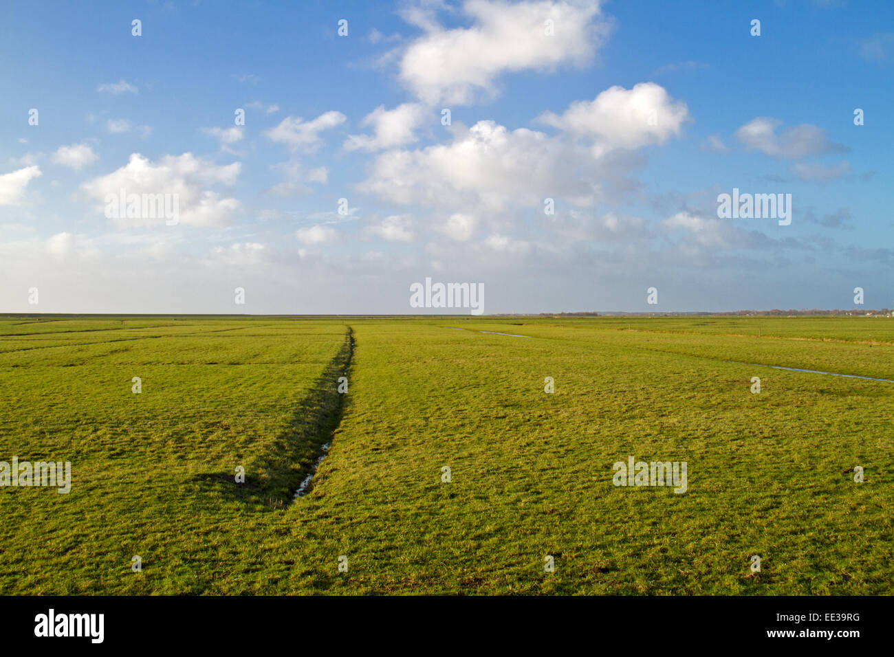 A green pasture with a shallow ditch in a polder landscape under a blue ...