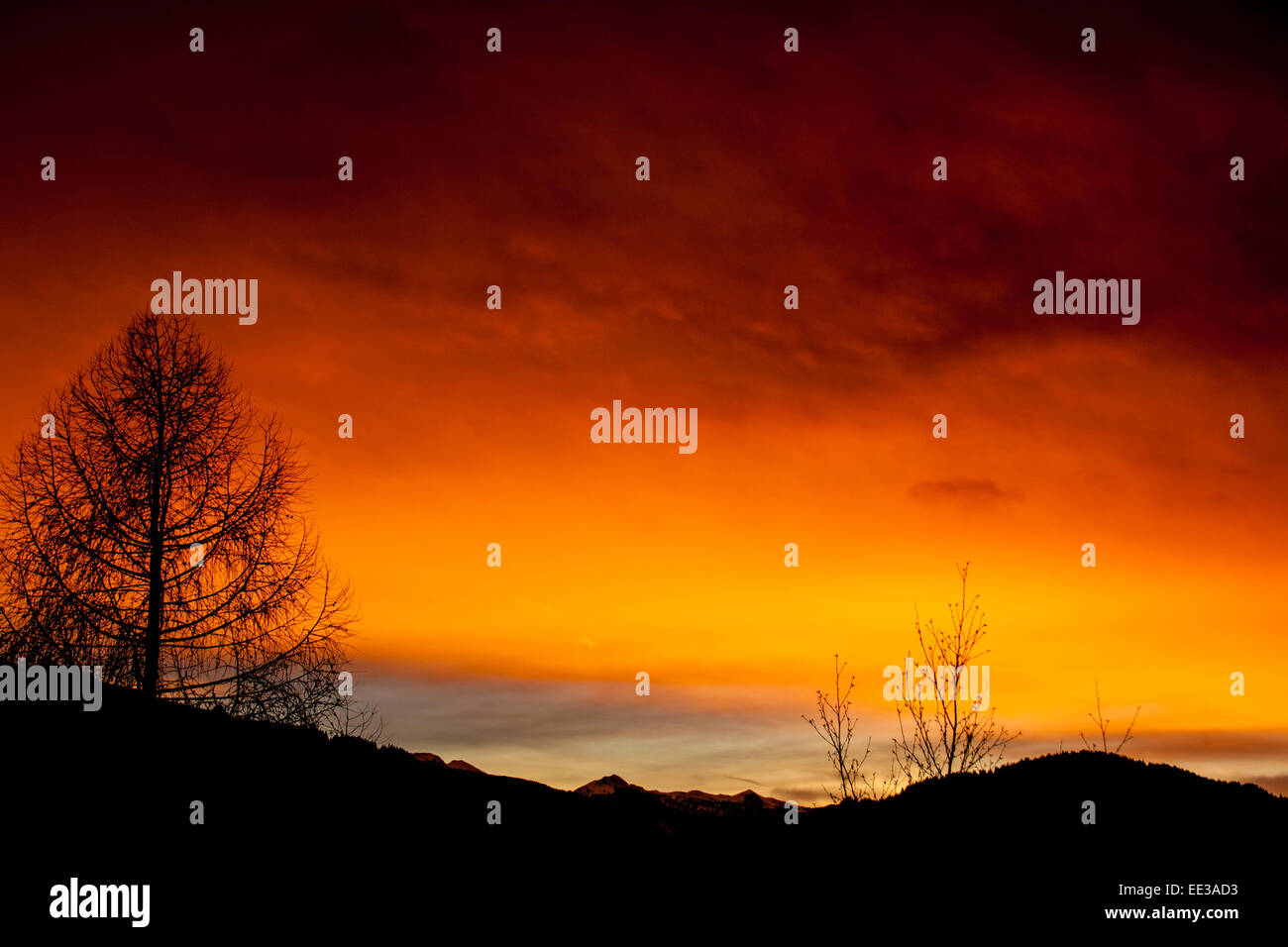 The sky become a red show Stock Photo - Alamy