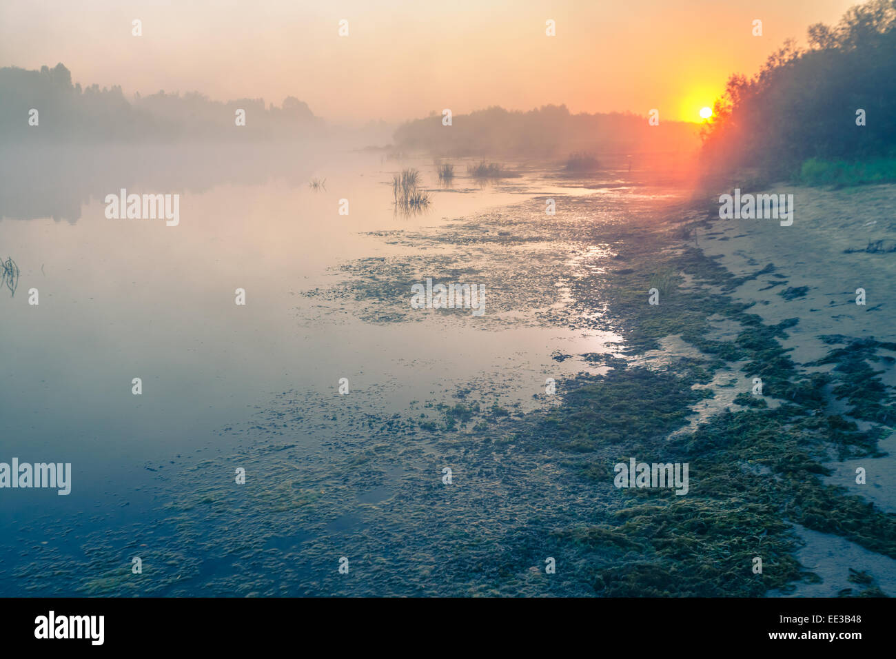 Landscape, romantic sunrise in the mist. Ukraine Stock Photo - Alamy