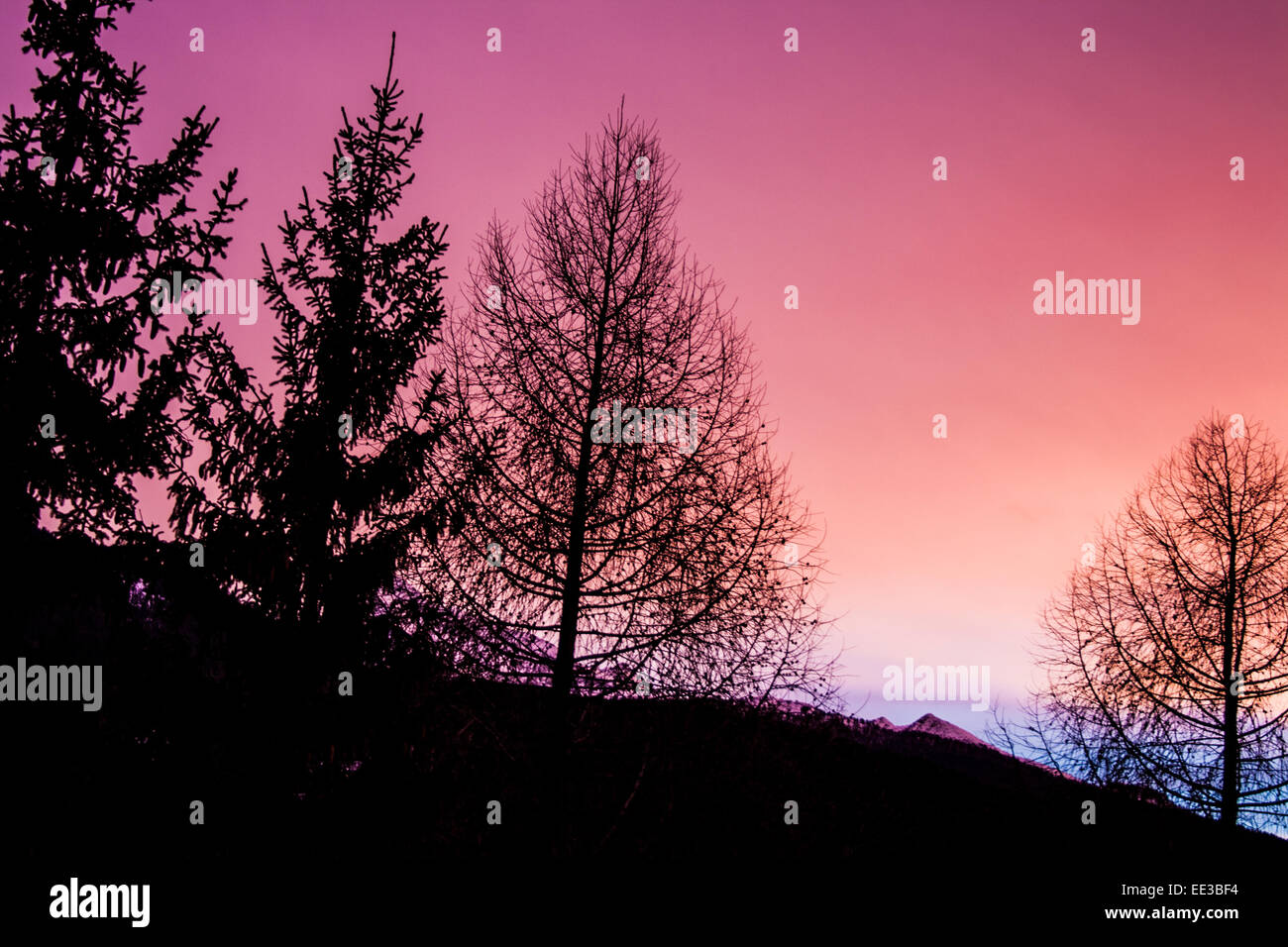 The sky become a red show Stock Photo - Alamy