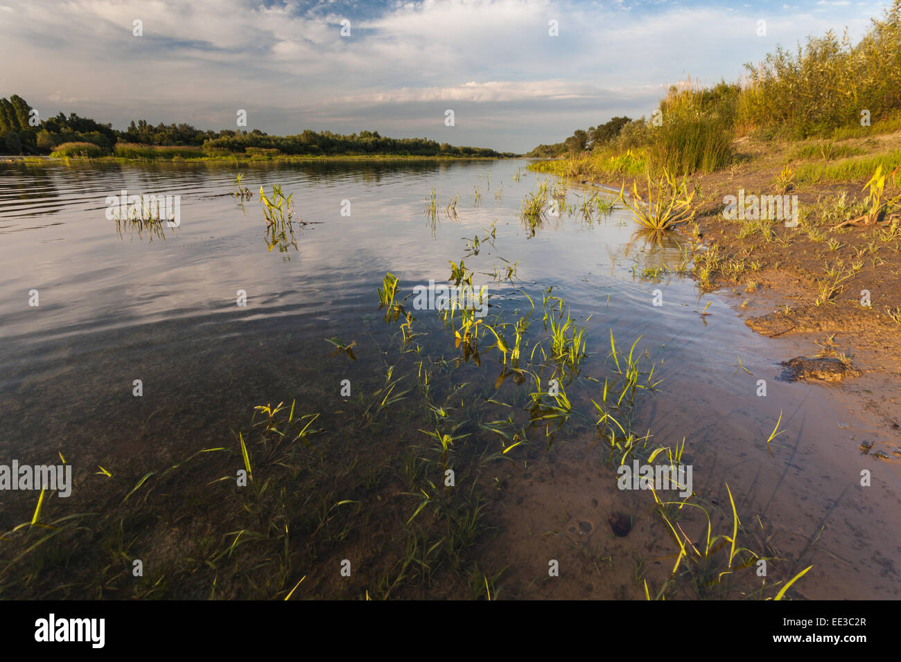 Beautiful summer water landscape in sunbeam. Ukraine Stock Photo - Alamy