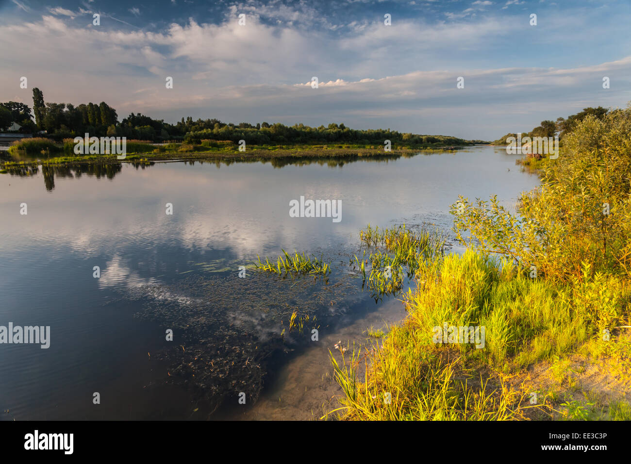 Beautiful summer water landscape in sunbeam. Ukraine Stock Photo - Alamy