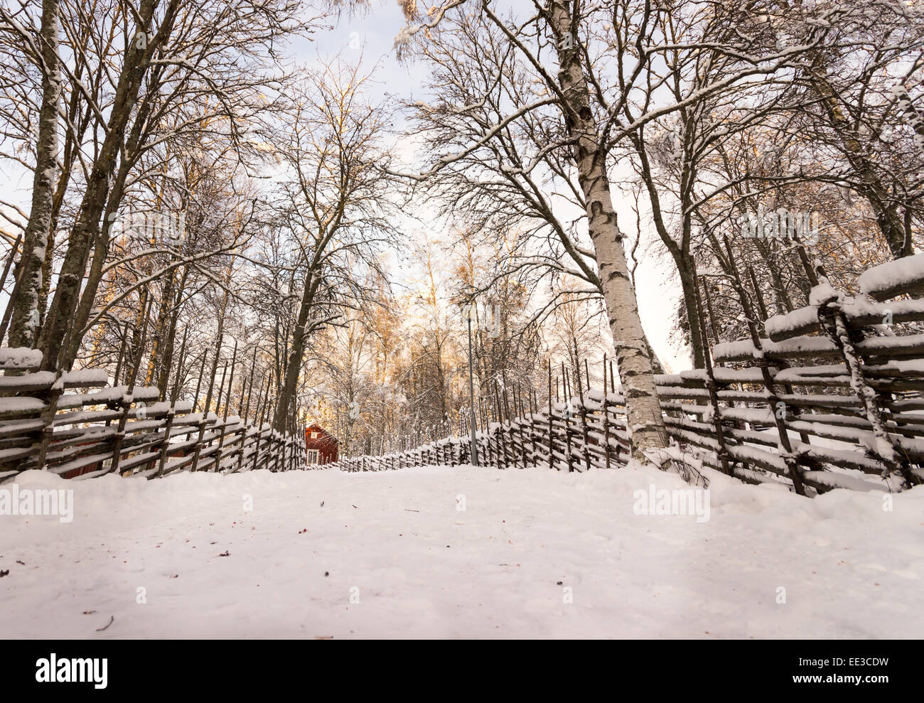 Winter Road Leading to Red House Stock Photo - Alamy