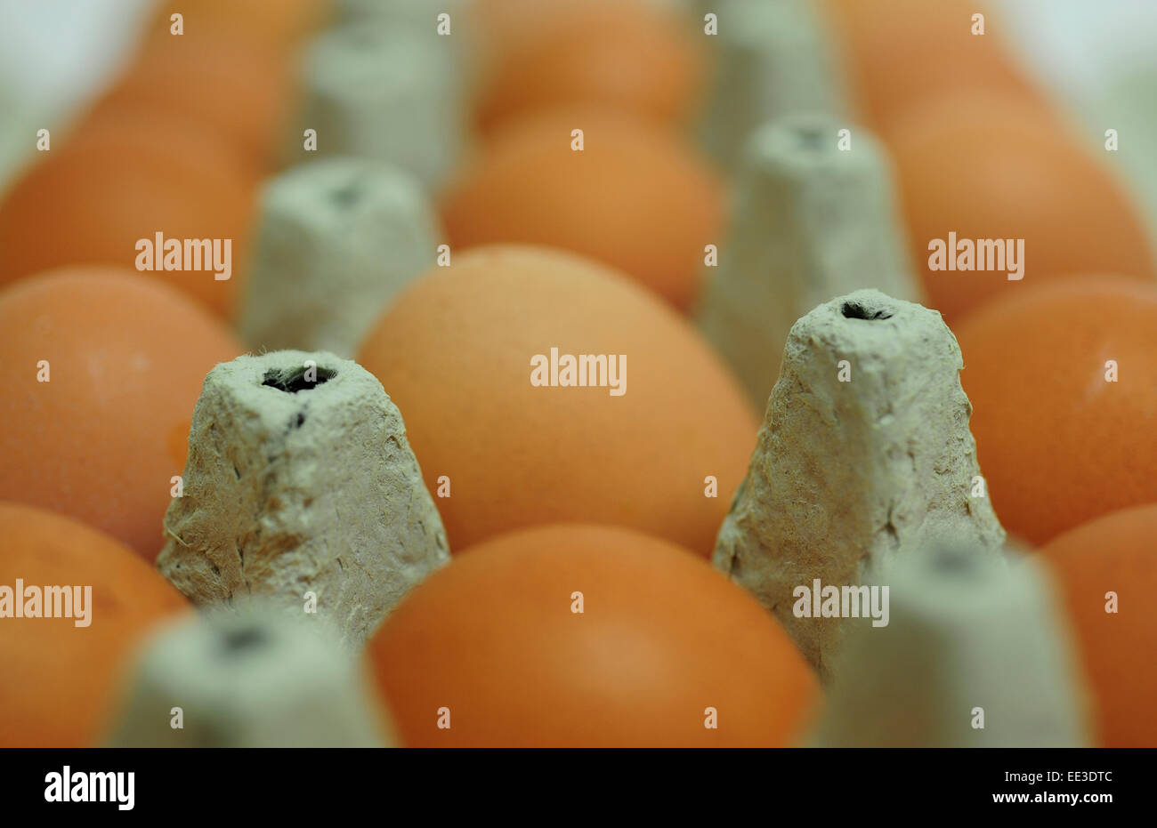 close up of eggs Stock Photo - Alamy