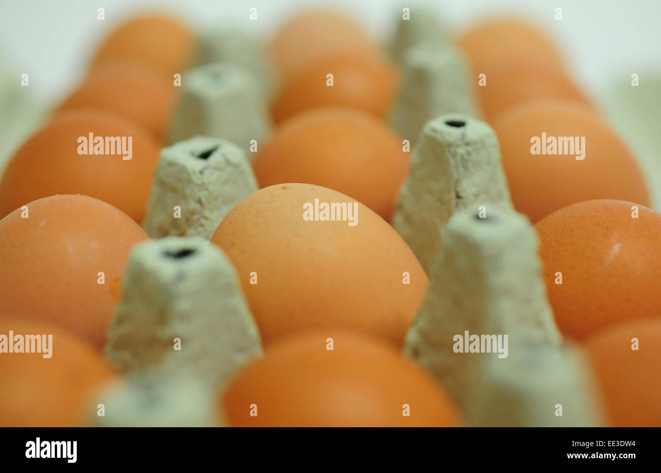 close up of eggs Stock Photo - Alamy