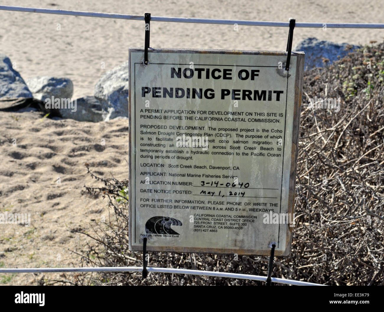 Permit fish hi-res stock photography and images - Alamy