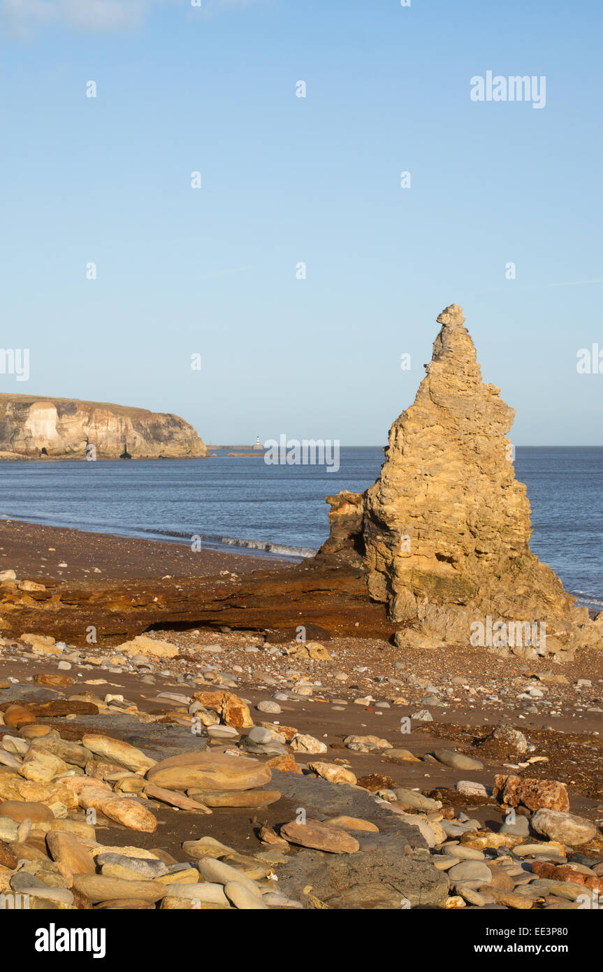 Sea stack on Blast Beach, Seaham, north east England, UK Stock Photo ...