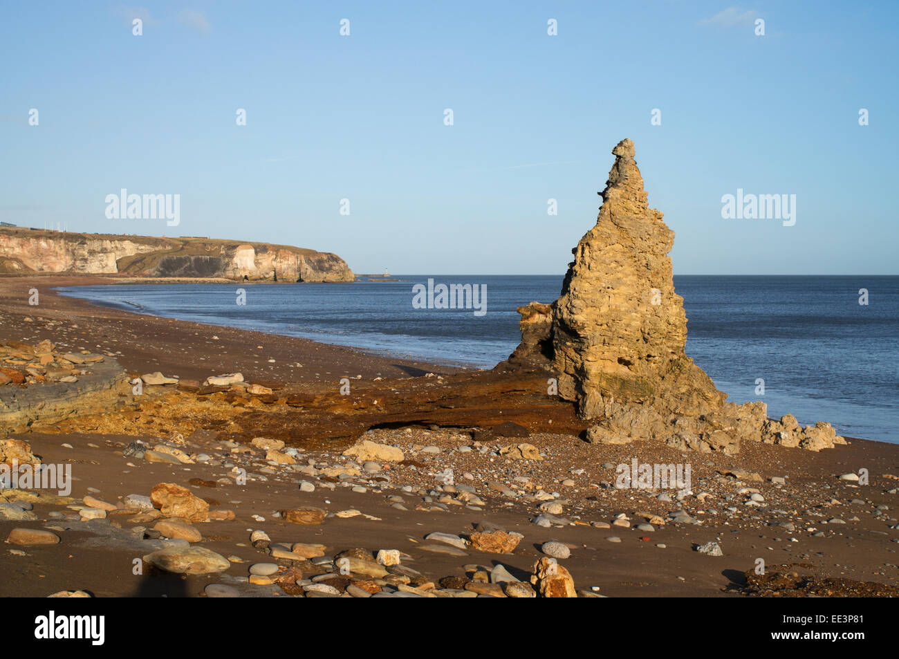 Sea stack on Blast Beach, Seaham, north east England, UK Stock Photo ...
