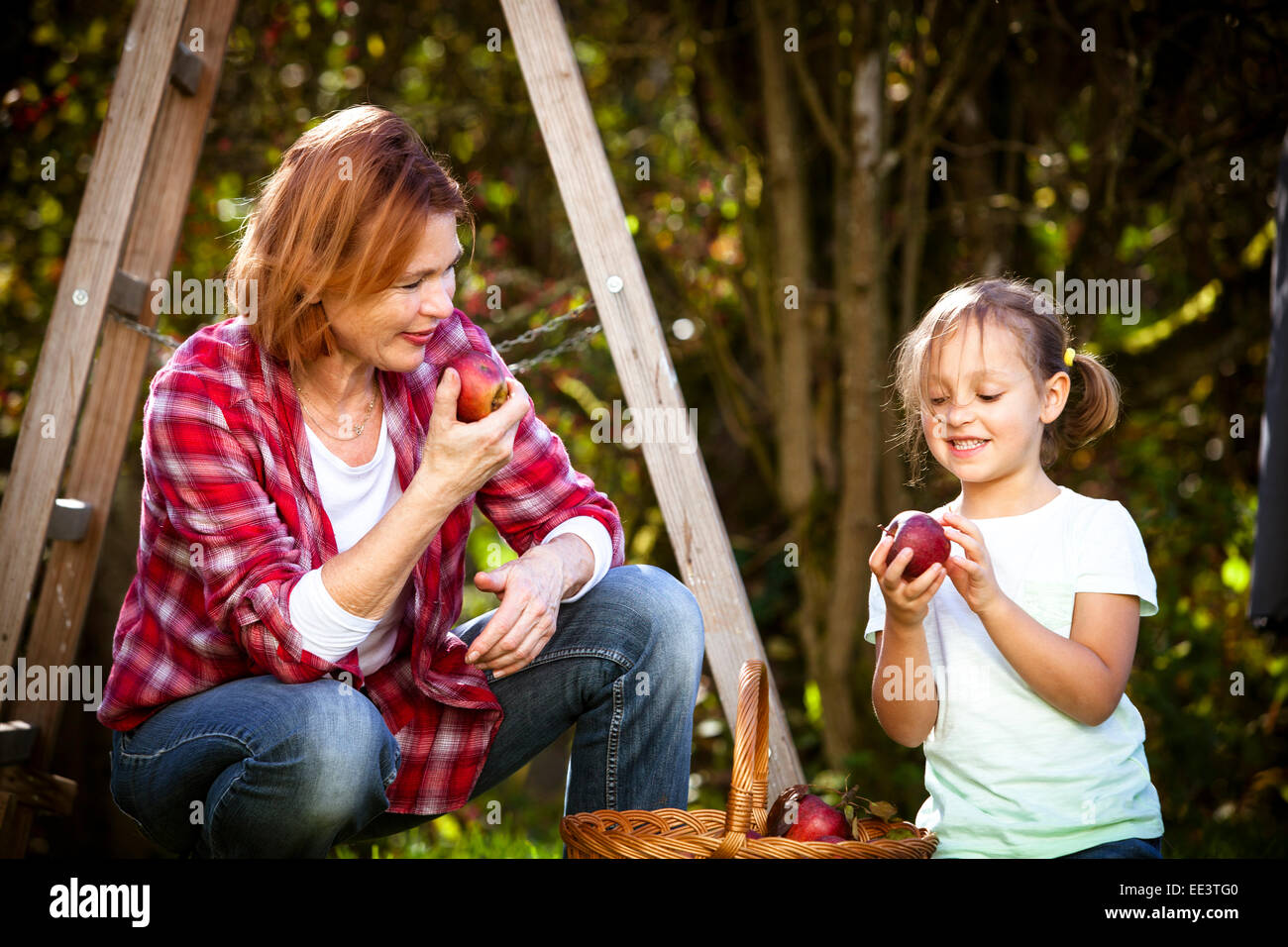 Teen girl picking apples hi-res stock photography and images - Alamy