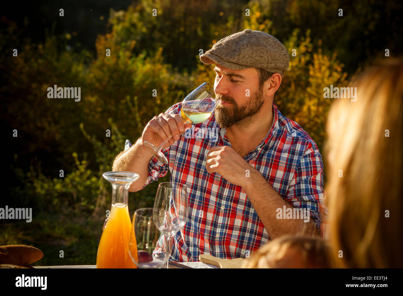 Family having a picnic in the garden, Munich, Bavaria, Germany Stock ...