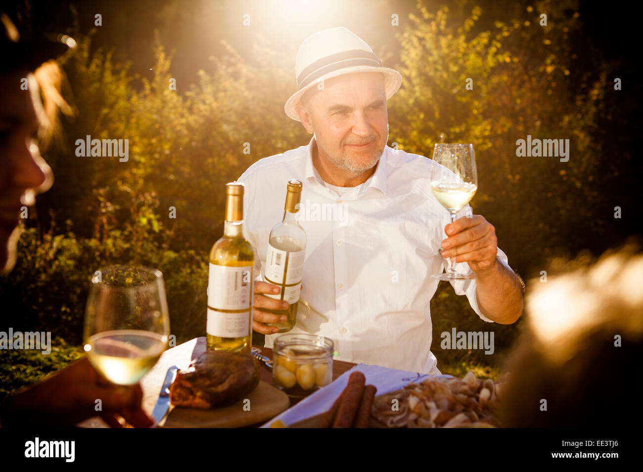 Family having a picnic in the garden, Munich, Bavaria, Germany Stock ...