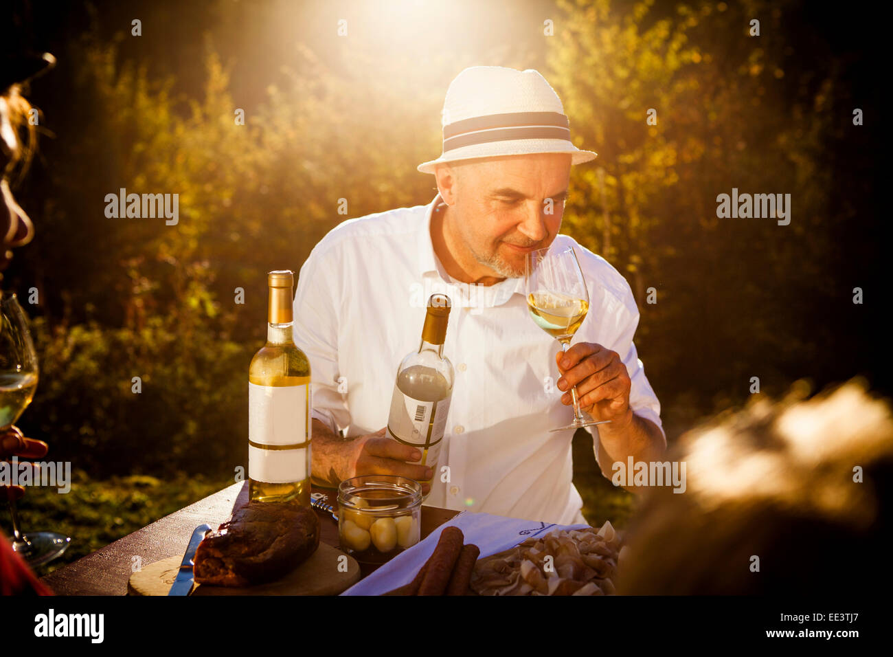 Family having a picnic in the garden, Munich, Bavaria, Germany Stock ...