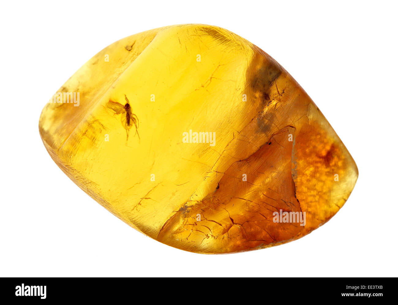 Amber with insect inside Stock Photo - Alamy