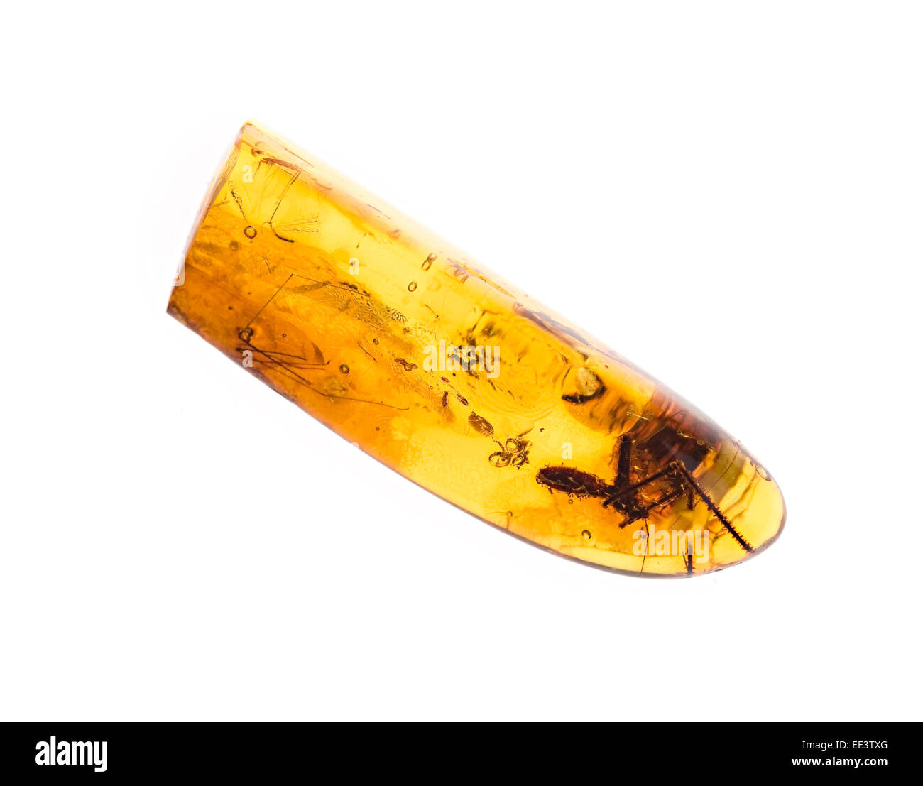 Amber with insect inside Stock Photo - Alamy