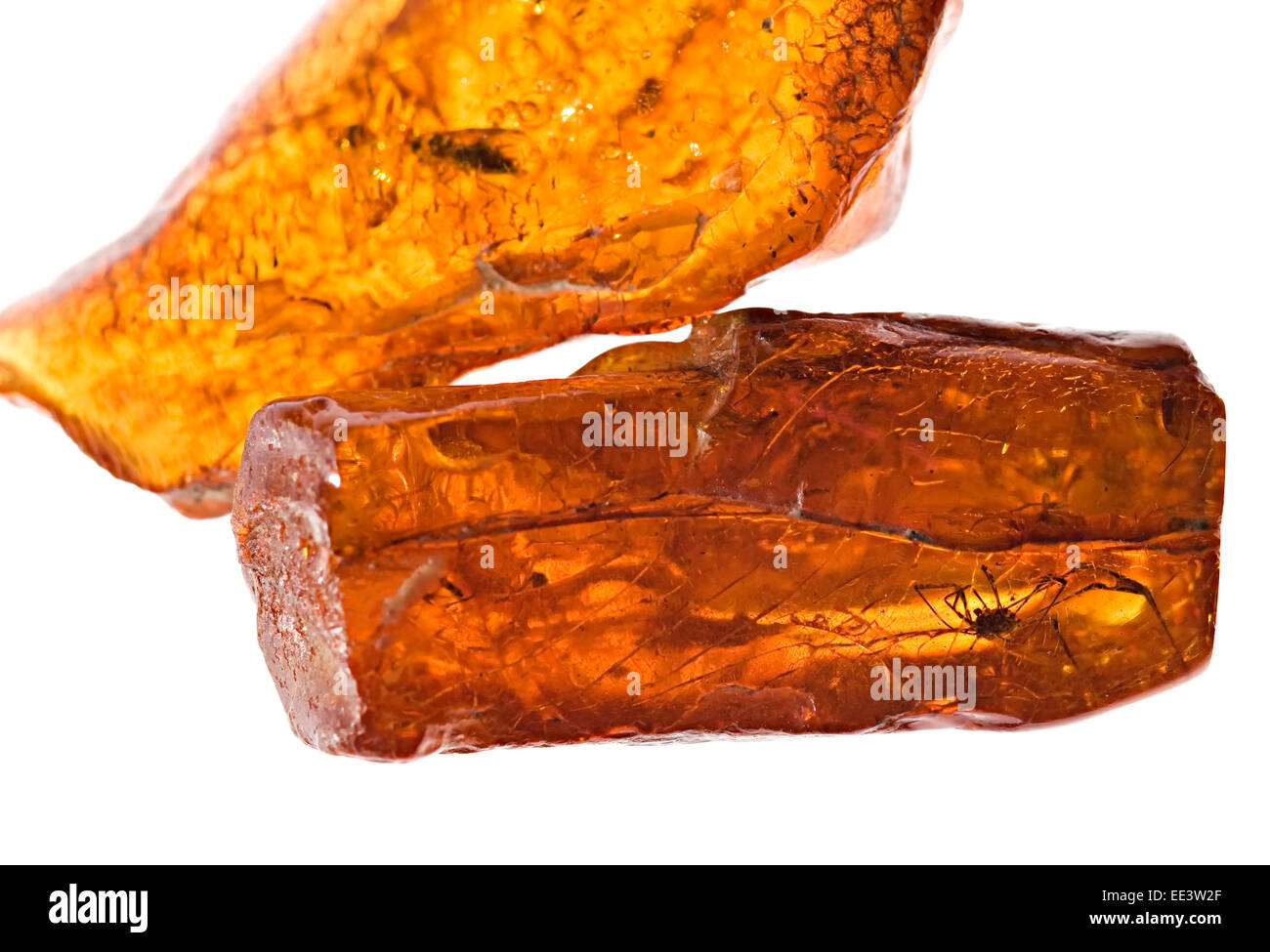 Amber with insect inside Stock Photo - Alamy