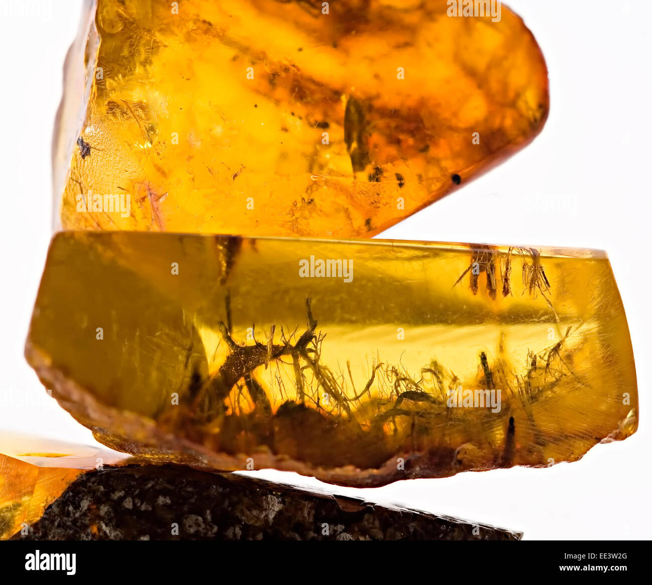 Amber with insect inside Stock Photo - Alamy