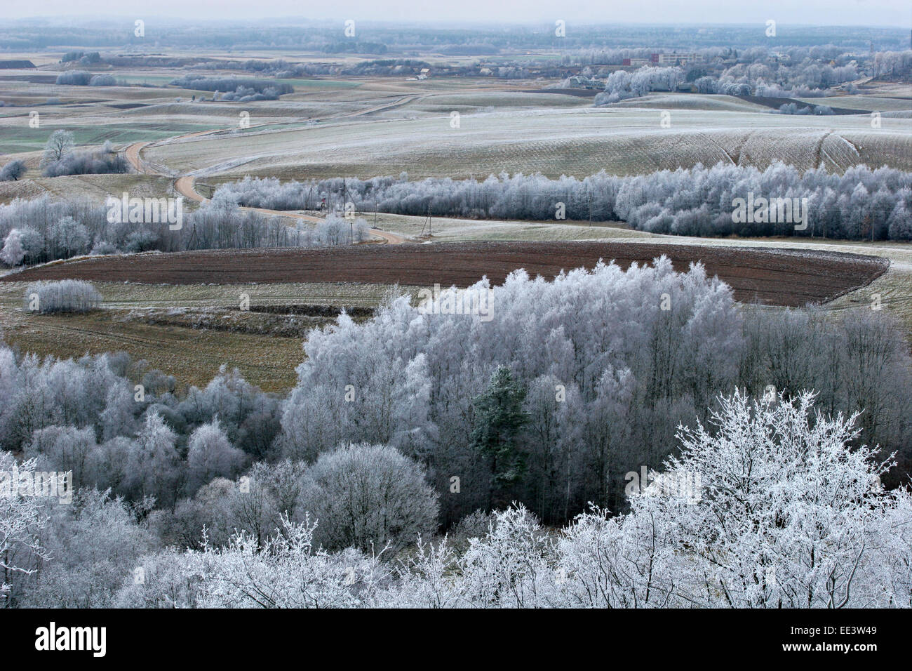 Cold winter day, beautiful hoarfrost and rime on trees. blue sky clouds ...