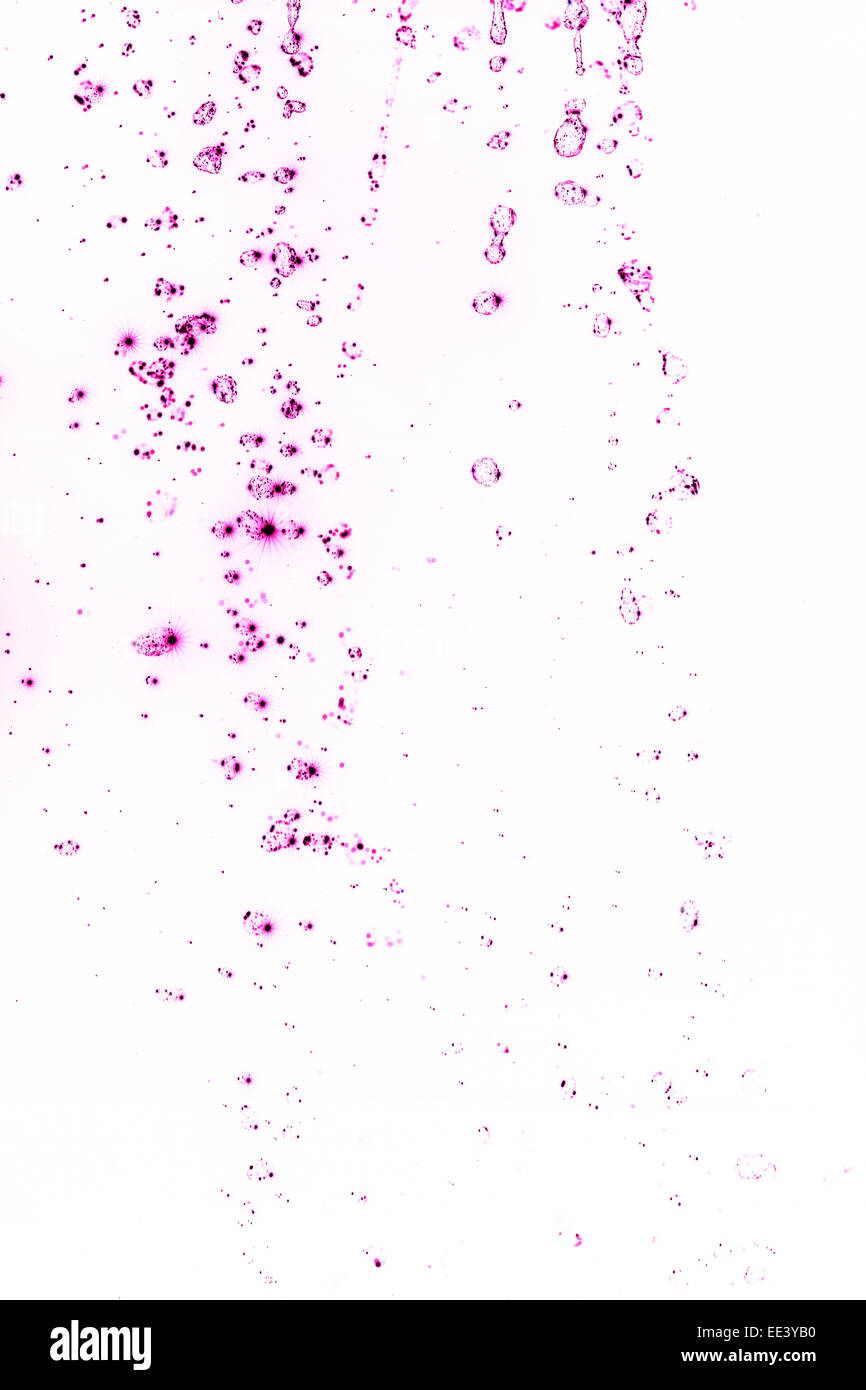 Abstract paint splatter Stock Photo - Alamy