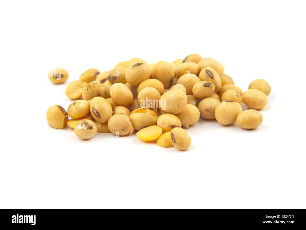 soybean isolated on white background Stock Photo - Alamy