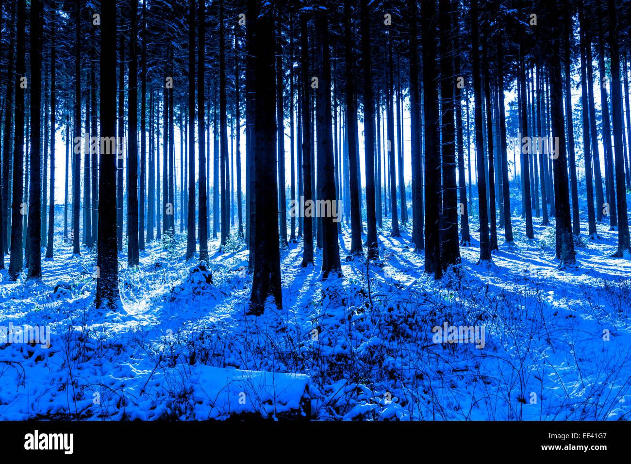 Frost light hi-res stock photography and images - Alamy