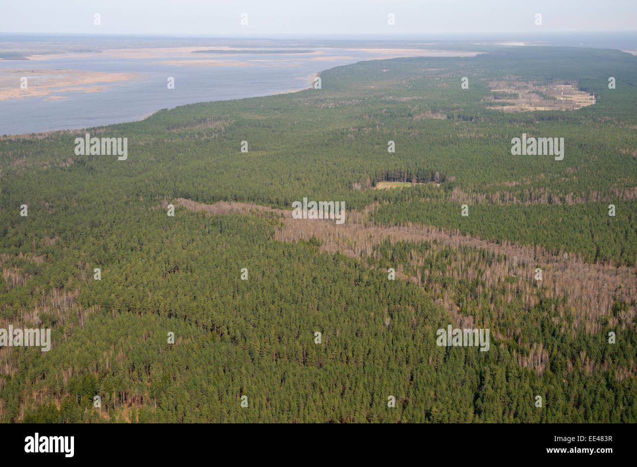 Aerial view of Lake Engure nature park Stock Photo - Alamy