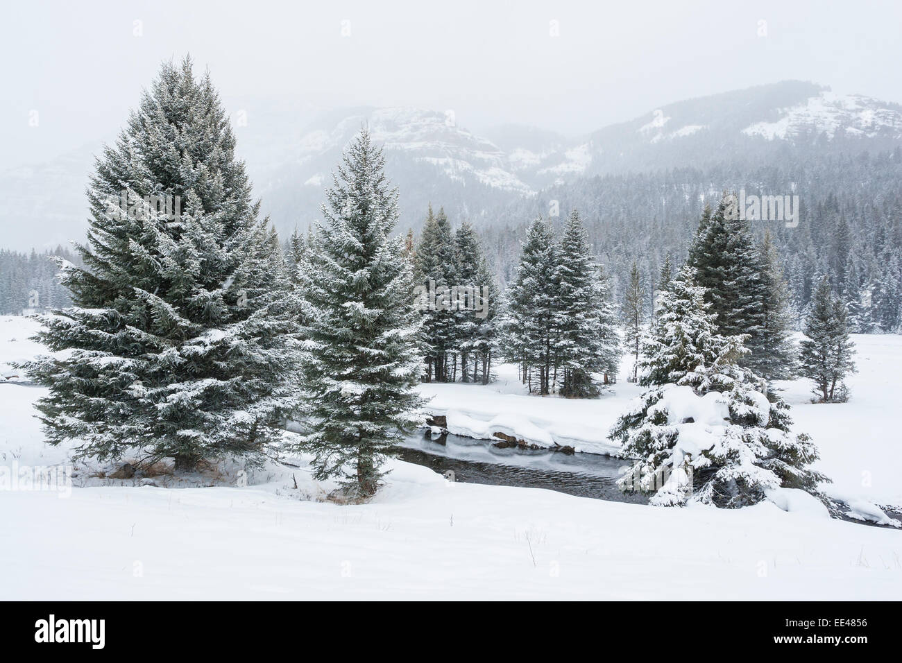 Soda Butte creek in Yellowstone National Park duing winter Stock Photo ...
