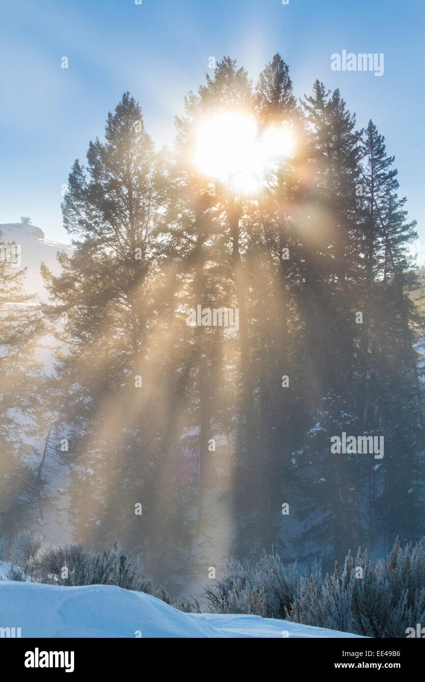 Winter landscape of lamar valley hi-res stock photography and images ...