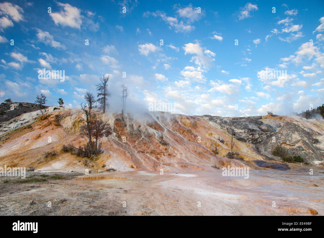Minerva Terraces at Mammoth Hot Springs Stock Photo - Alamy