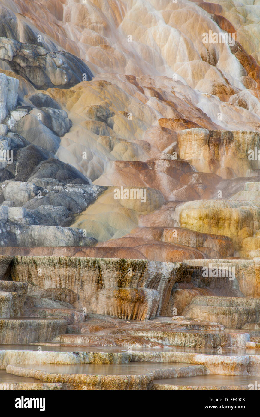 Colorful Minerva Terraces at Mammoth Hot Springs in Yellowstone ...