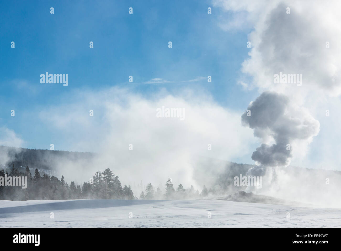 Geyser yellowstone snow hi-res stock photography and images - Alamy