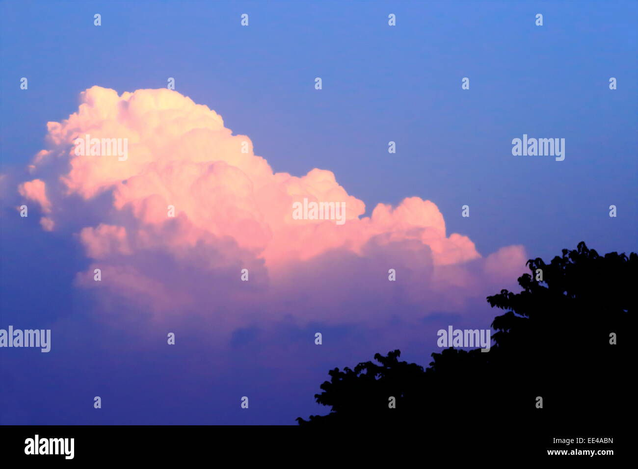 Big cumulonimbus cloud formation on the sky at sunset over the Terai ...