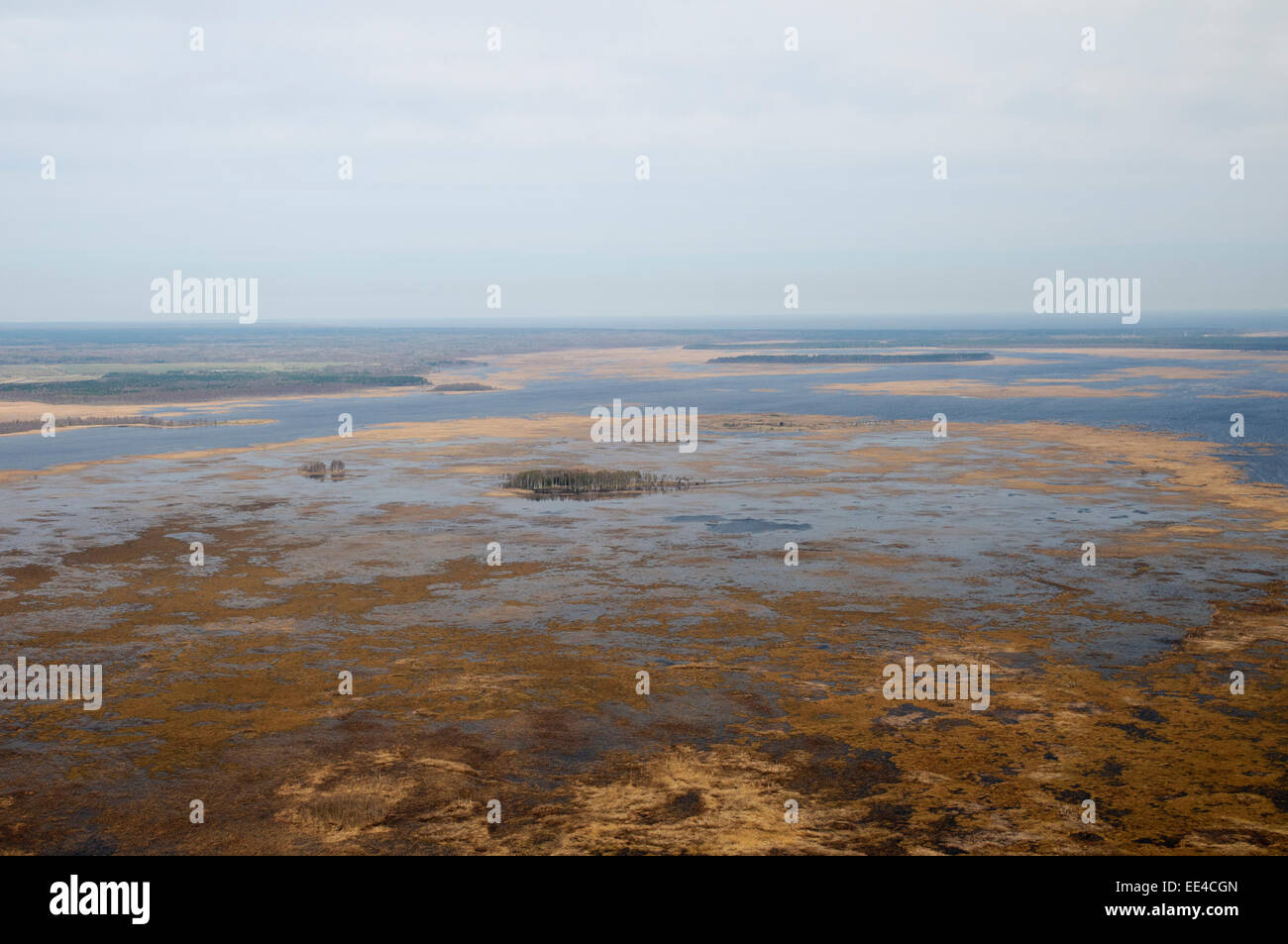 Lake Engure Nature park: mosaic of reedbeds Stock Photo - Alamy
