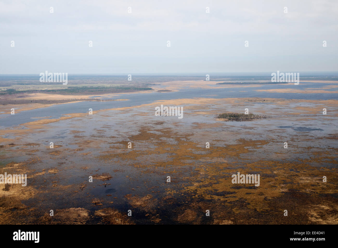 Lake Engure Nature park: mosaic of reedbeds Stock Photo - Alamy